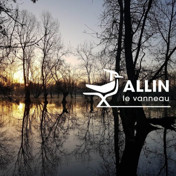 Allin launches R’PLY, 1st eco-friendly plywood - Actualité Allin Le Vanneau
